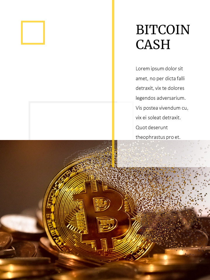 Bitcoin slideshare ppt