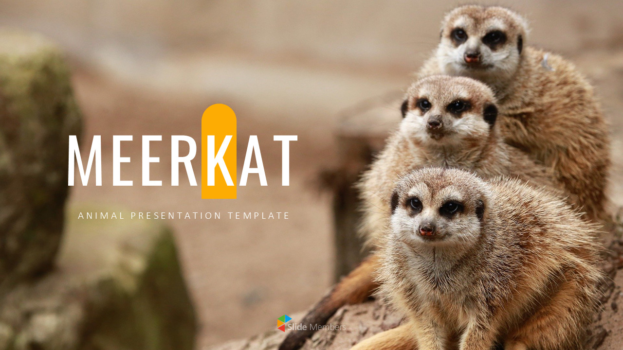 Meerkat Google Slides Templates|Lifestyle