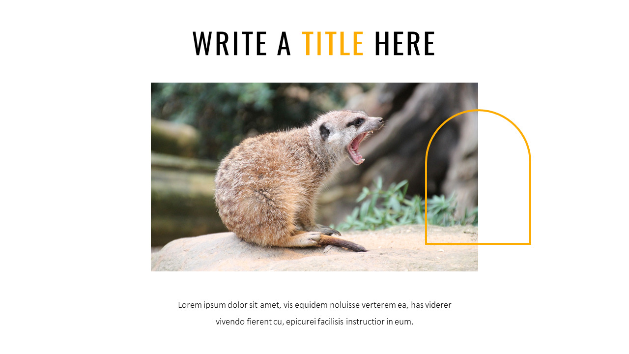 Meerkat Google Slides Templates|Lifestyle