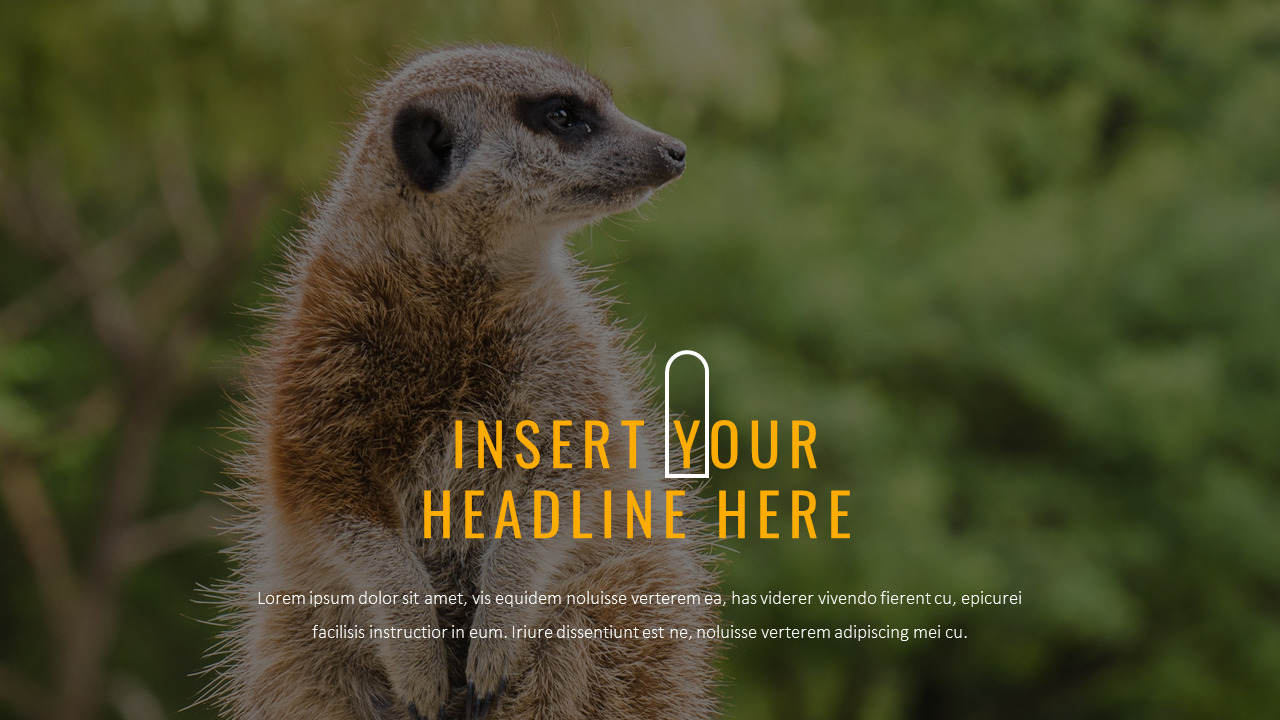 Meerkat Google Slides Templates|Lifestyle