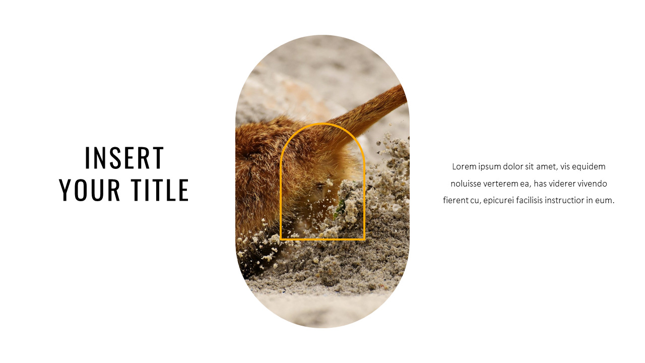Meerkat Google Slides Templates|Lifestyle