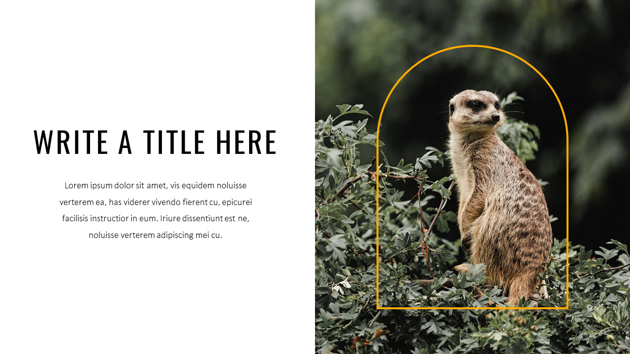 Meerkat Google Slides Templates|Lifestyle