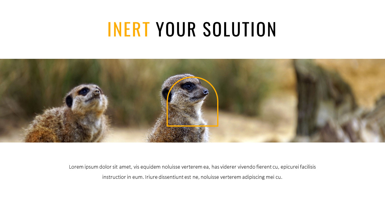 Meerkat Google Slides Templates|Lifestyle