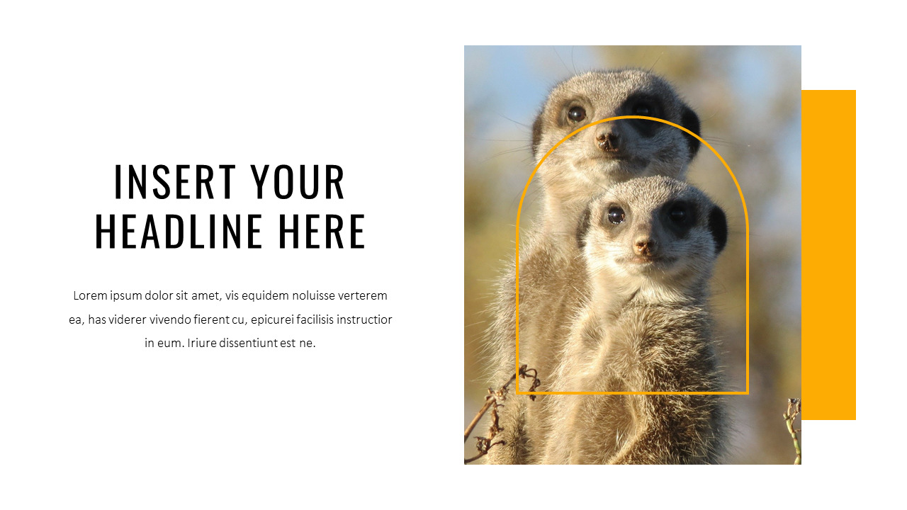 Meerkat Google Slides Templates|Lifestyle