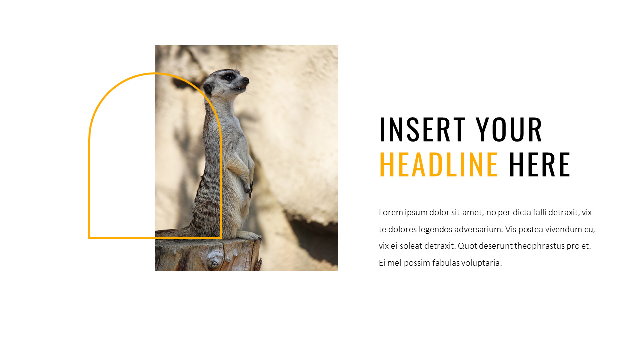 Meerkat Google Slides Templates|Lifestyle
