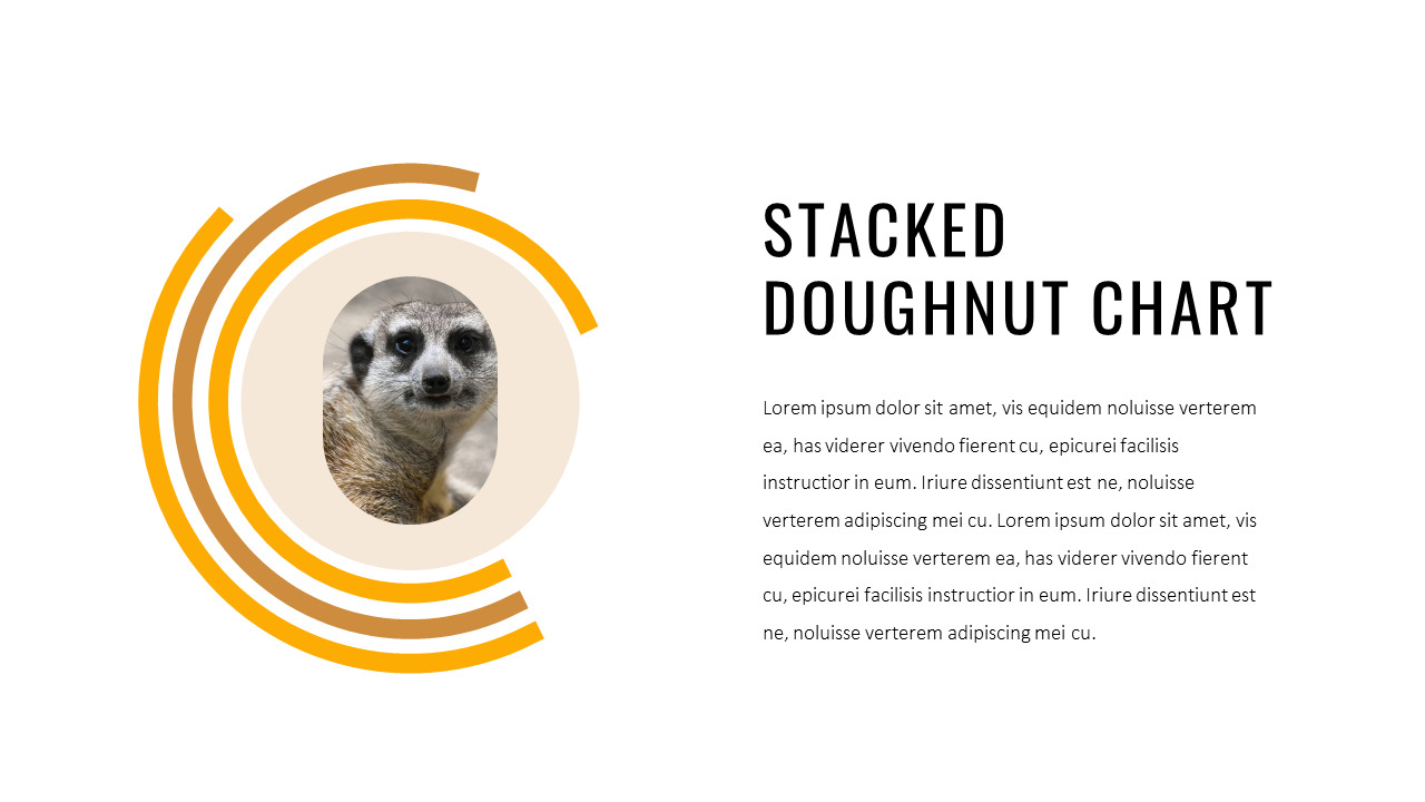 Meerkat Google Slides Templates|Lifestyle