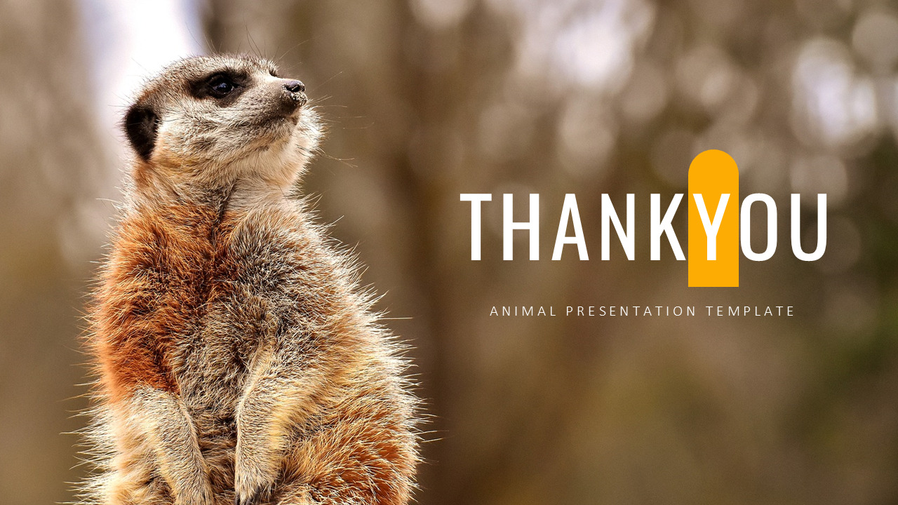 Meerkat Google Slides Templates|Lifestyle