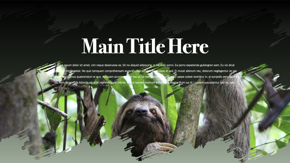 Amazon company profile template design|Lifestyle|Keynote