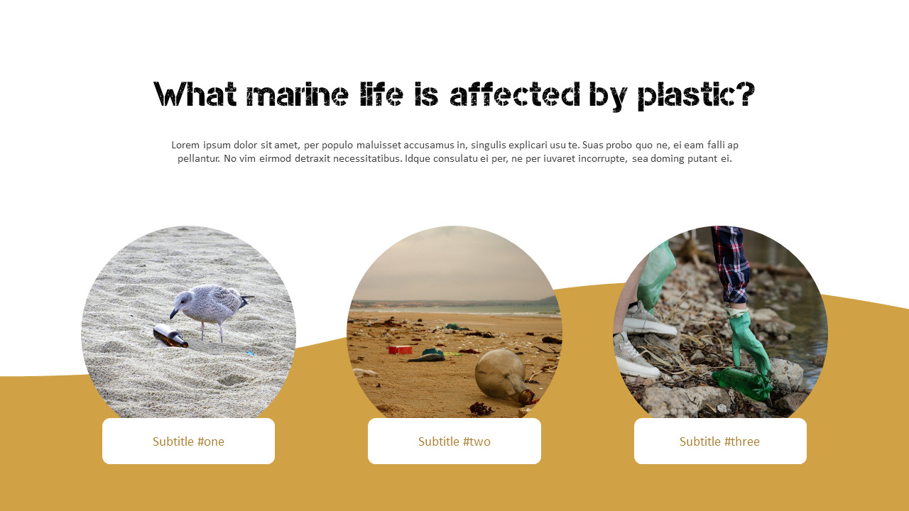 Marine Pollution Startup PPT Templates|Lifestyle