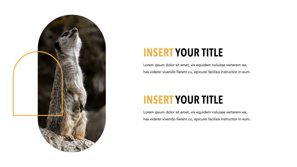 Meerkat PowerPoint to Keynote|Lifestyle