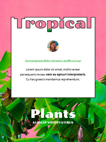 Colorful Tropical Concept PowerPoint Presentation Design