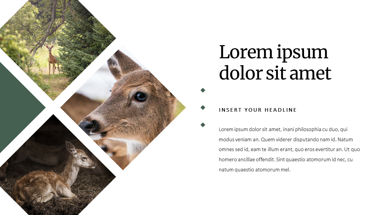 Deer Simple Google Slides Templates|Animal