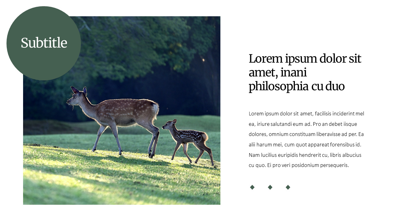 Deer Simple Google Slides Templates|Animal