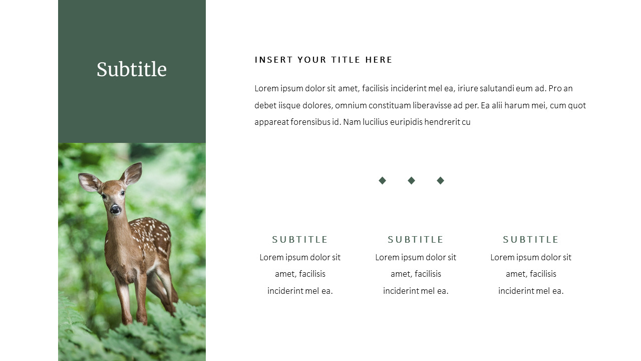 Deer Simple Google Slides Templates|Animal