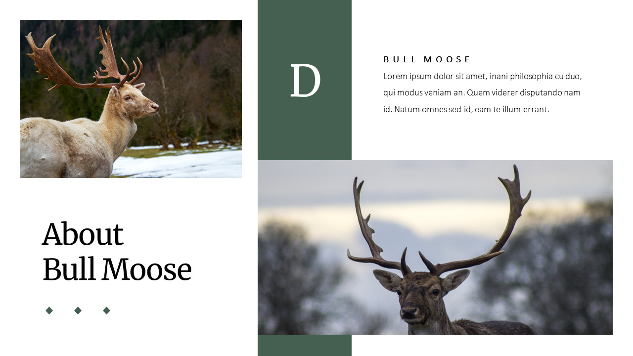 Deer Simple Google Slides Templates|Animal