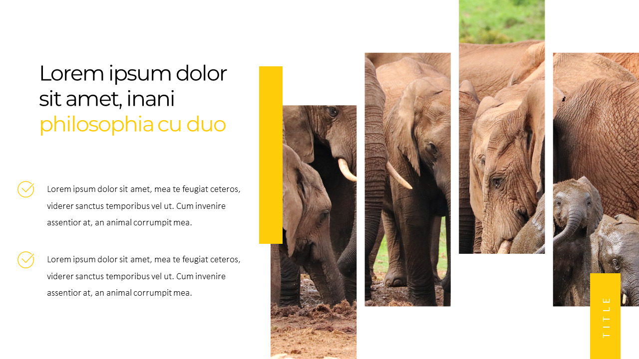 Elephant slideshare ppt|Animal|Google