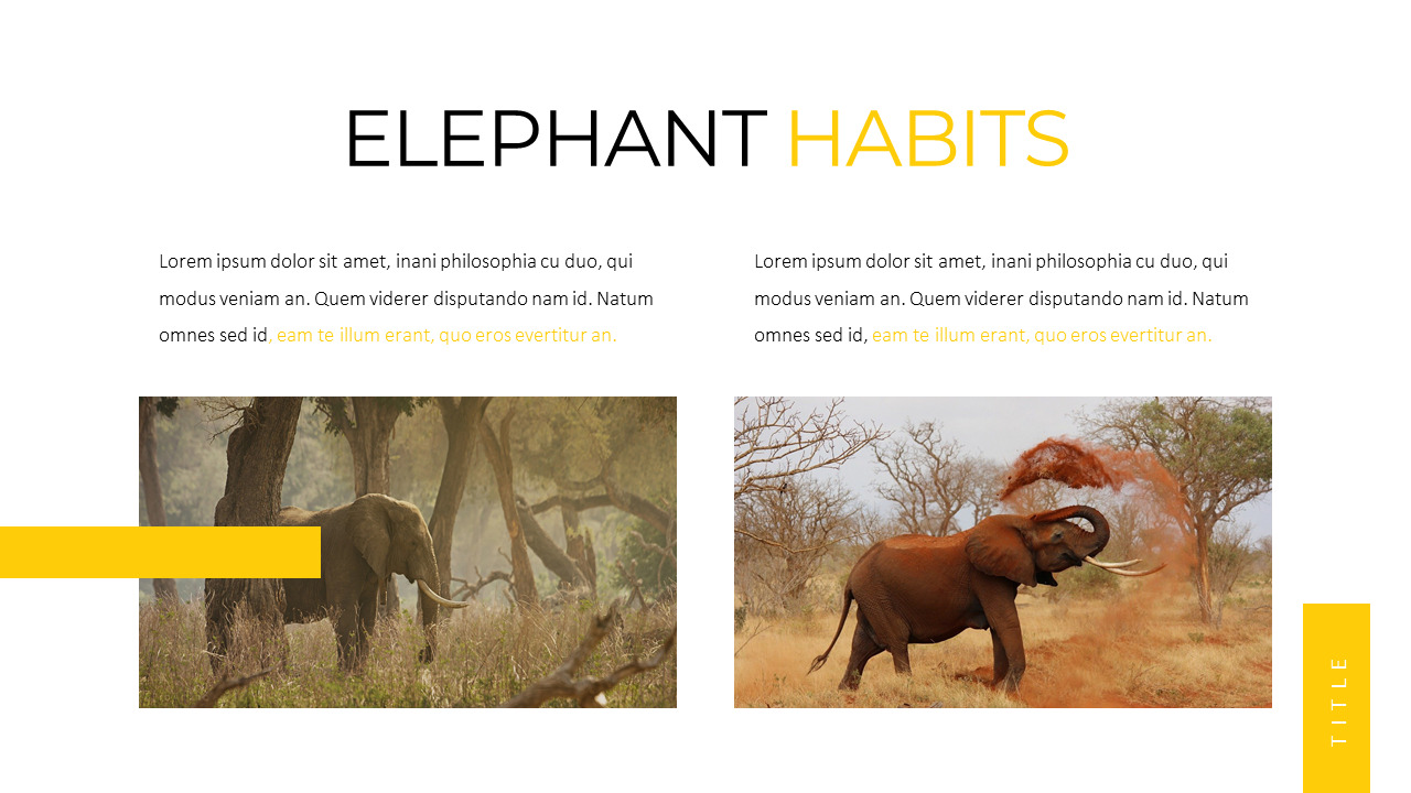 Elephant slideshare ppt|Animal|Google