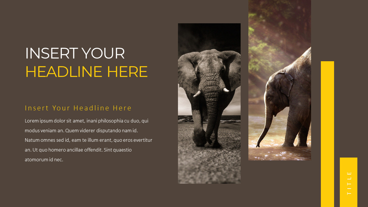 Elephant slideshare ppt|Animal|Google