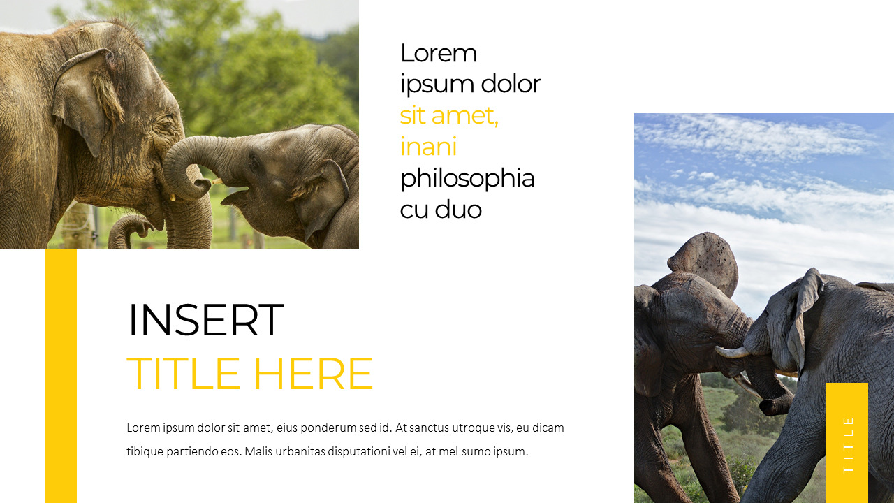 Elephant slideshare ppt|Animal|Google