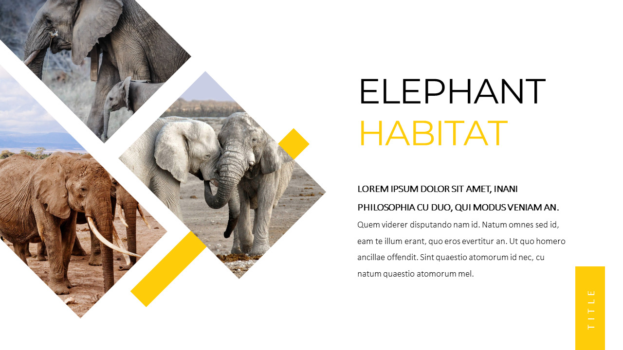 Elephant slideshare ppt|Animal|Google