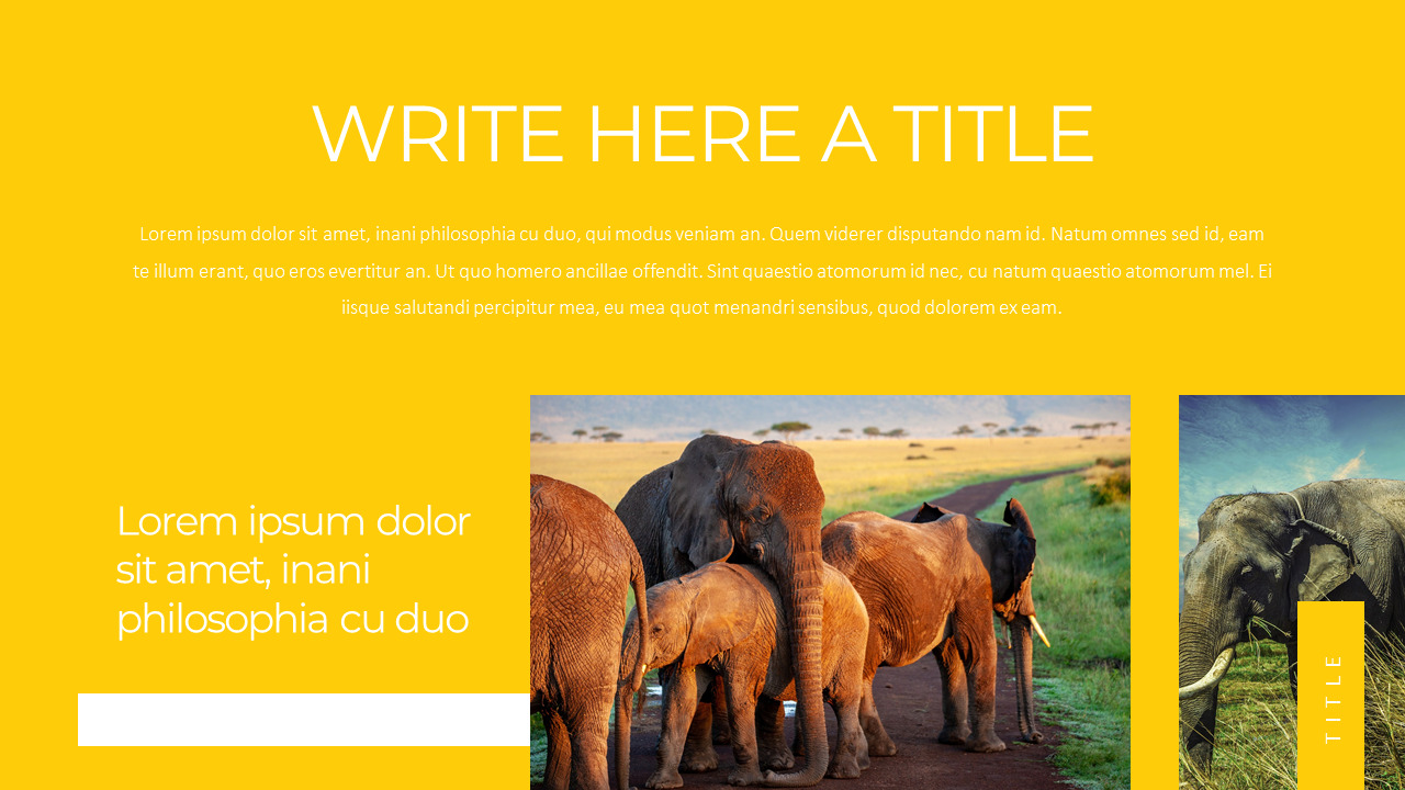 Elephant slideshare ppt|Animal|Google