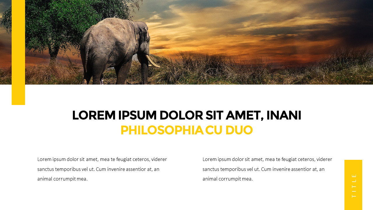 Elephant slideshare ppt|Animal|Google