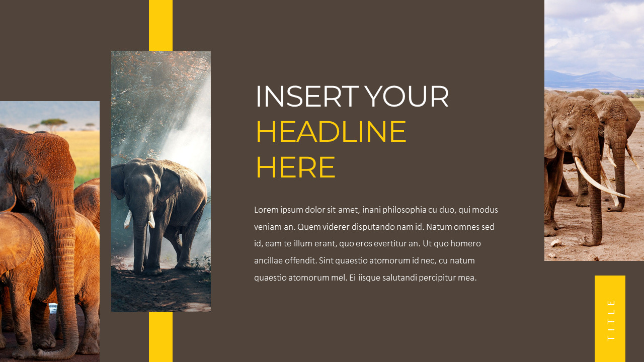 Elephant slideshare ppt|Animal|Google