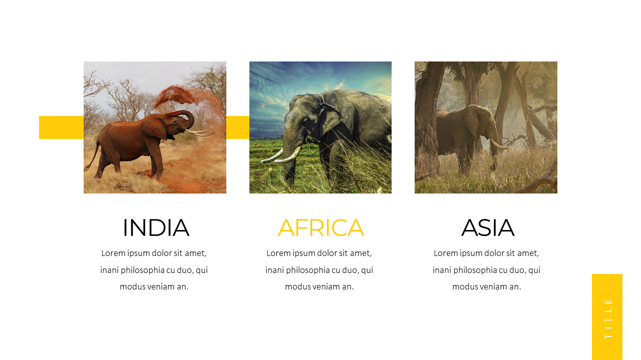 Elephant slideshare ppt|Animal|Google