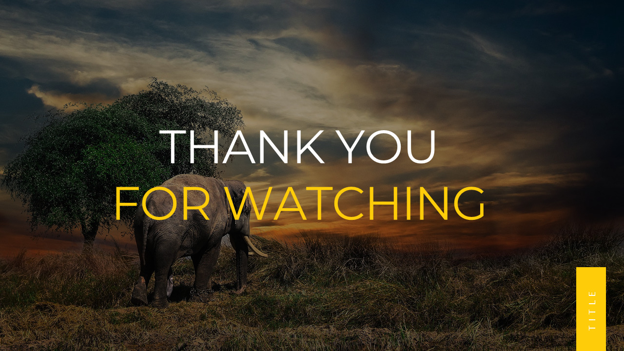 Elephant slideshare ppt|Animal|Google