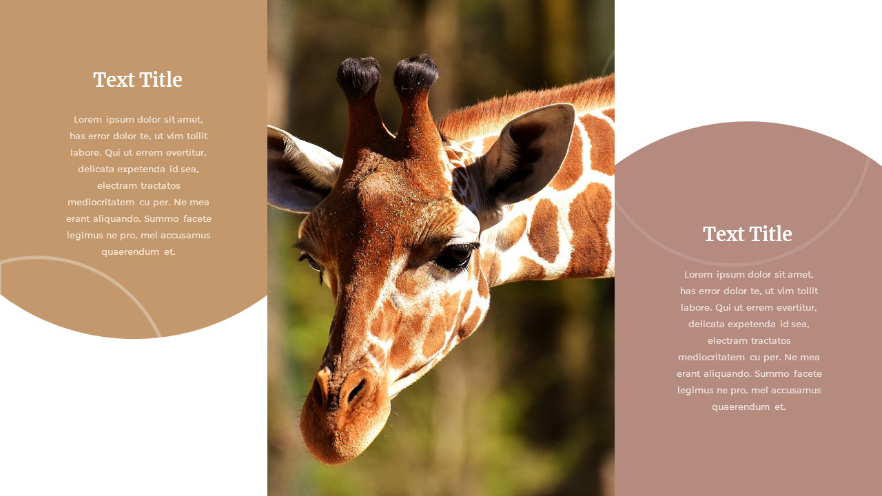 Safari Animals Google Presentation Templates|Slides