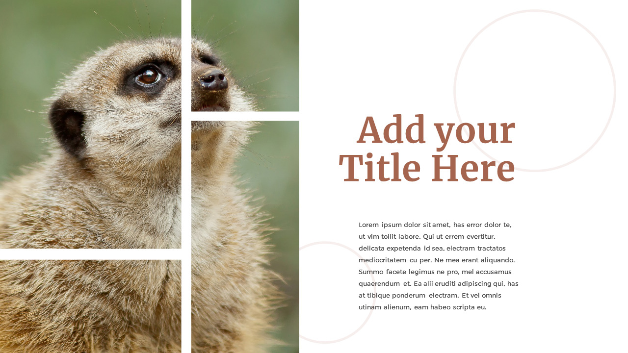 Safari Animals Google Presentation Templates|Slides