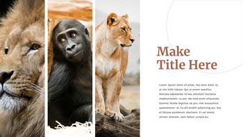 Safari Animals Google Presentation Templates|Slides