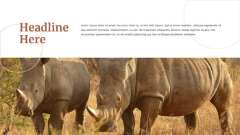 Safari Animals Google Presentation Templates|Slides