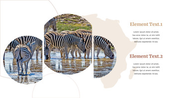 Safari Animals Google Presentation Templates|Slides