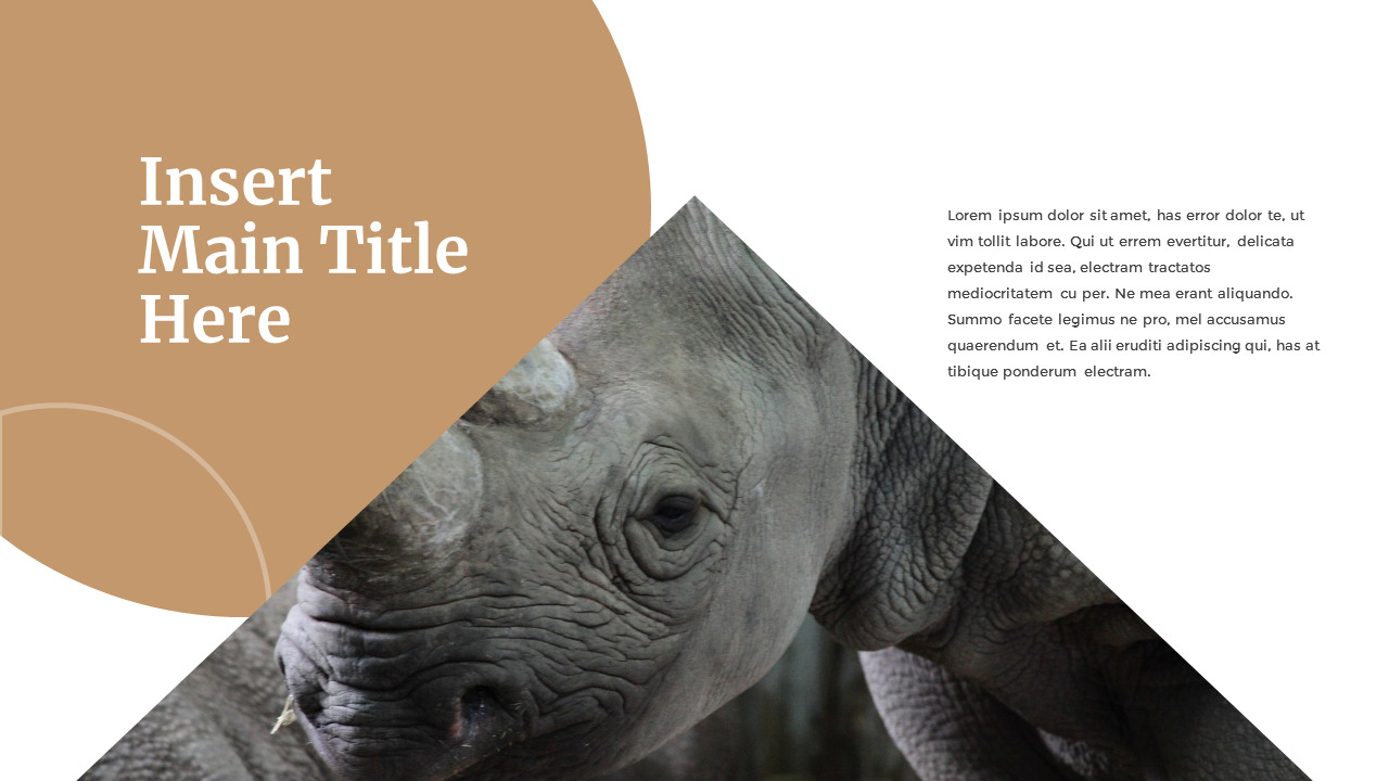 Animaux de safari Modèles de présentation Google|Diapositives