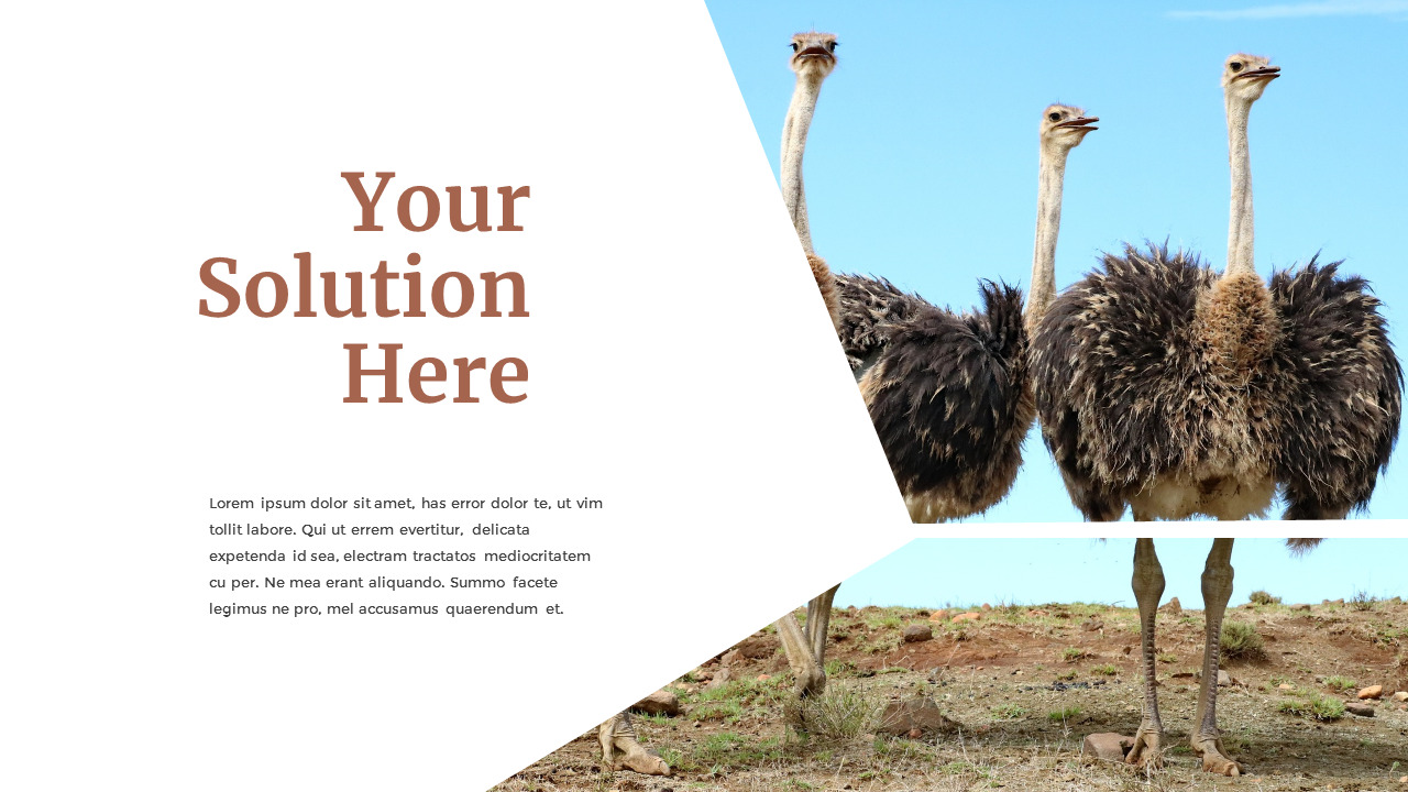 Safari Animals Google Presentation Templates|Slides