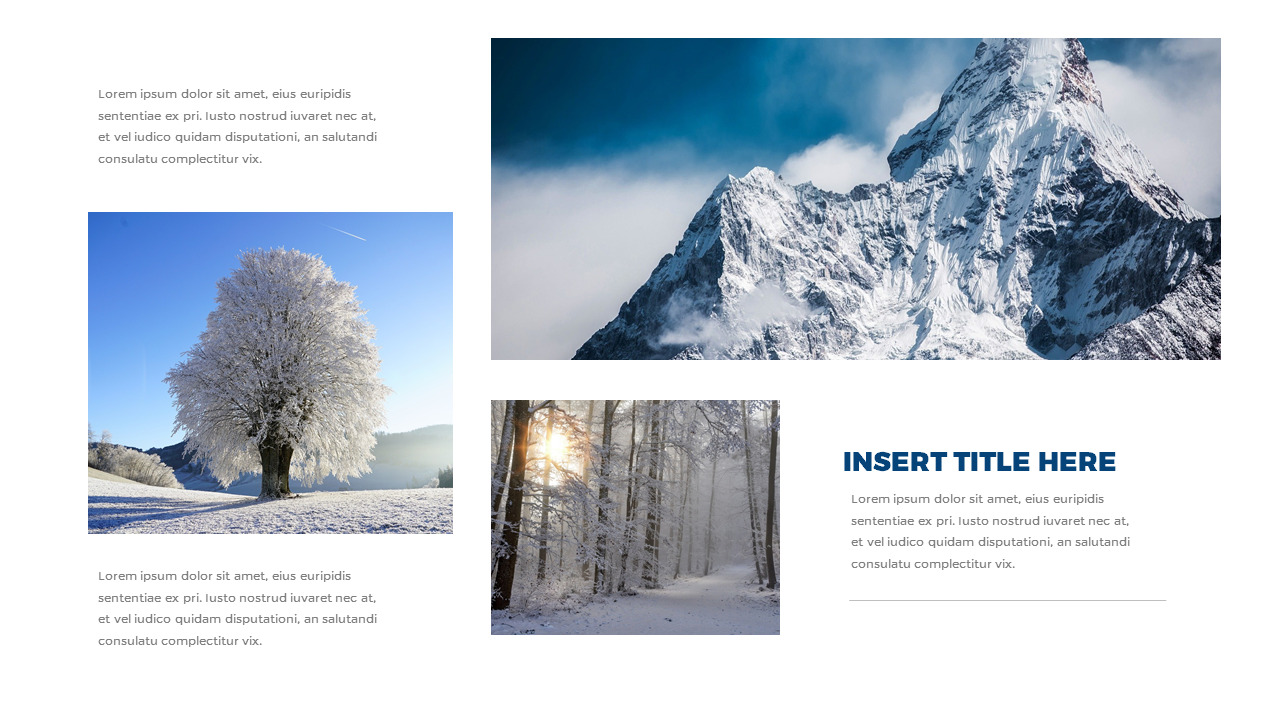 Winter Simple Slides Design|Nature|Google