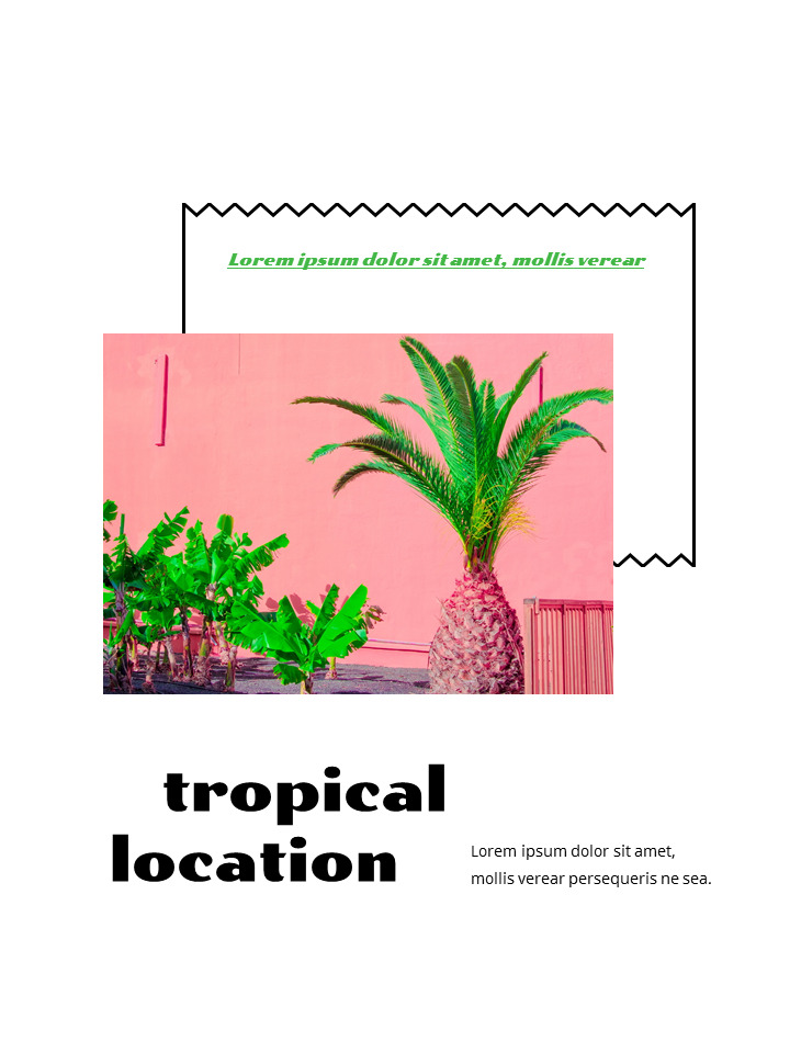 Colorful Tropical Concept Simple Presentation Google Slides Template