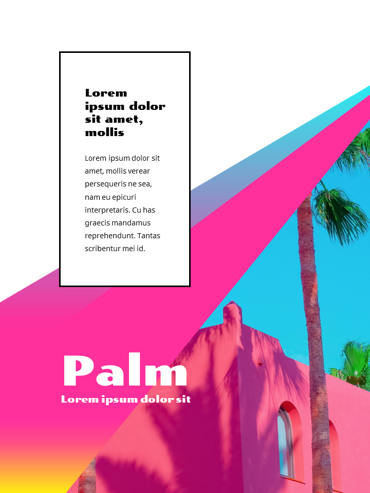 Colorful Tropical Concept Simple Presentation Google Slides Template
