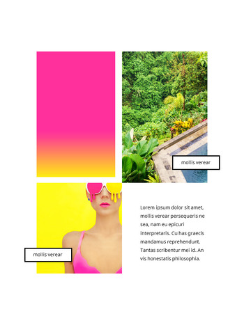 Colorful Tropical Concept Simple Presentation Google Slides Template