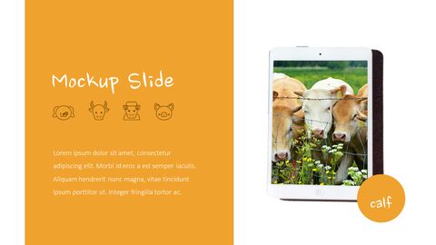 Cattle Farm Simple Google Presentation|Industry|Slides