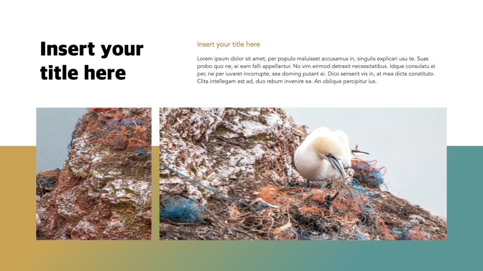 Marine Pollution slide template|Lifestyle|Keynote