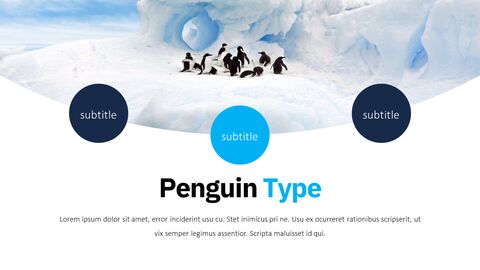 Penguin Google Slides mac|Animal