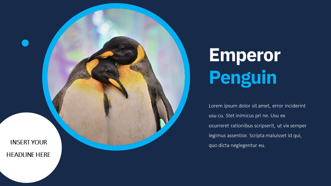 Penguin Google Slides mac|Animal