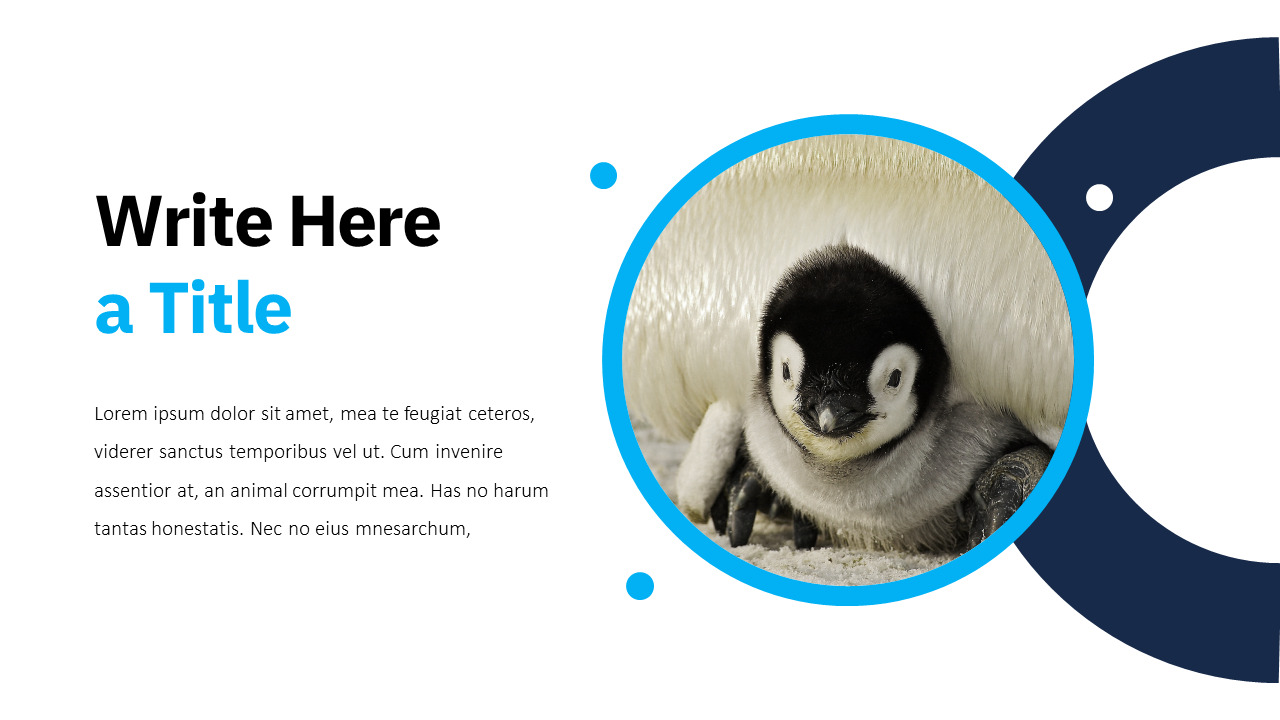 Penguin Google Slides mac|Animal