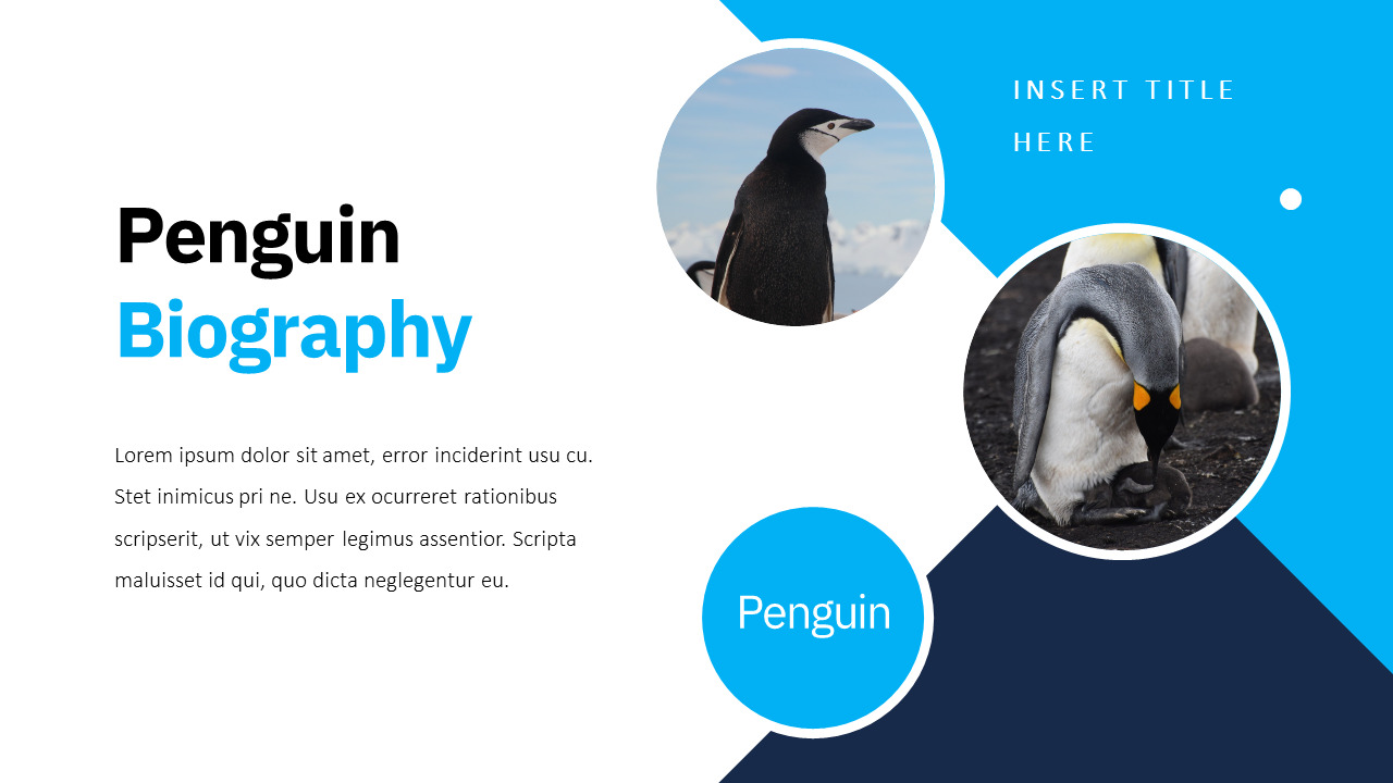 Penguin Google Slides mac|Animal