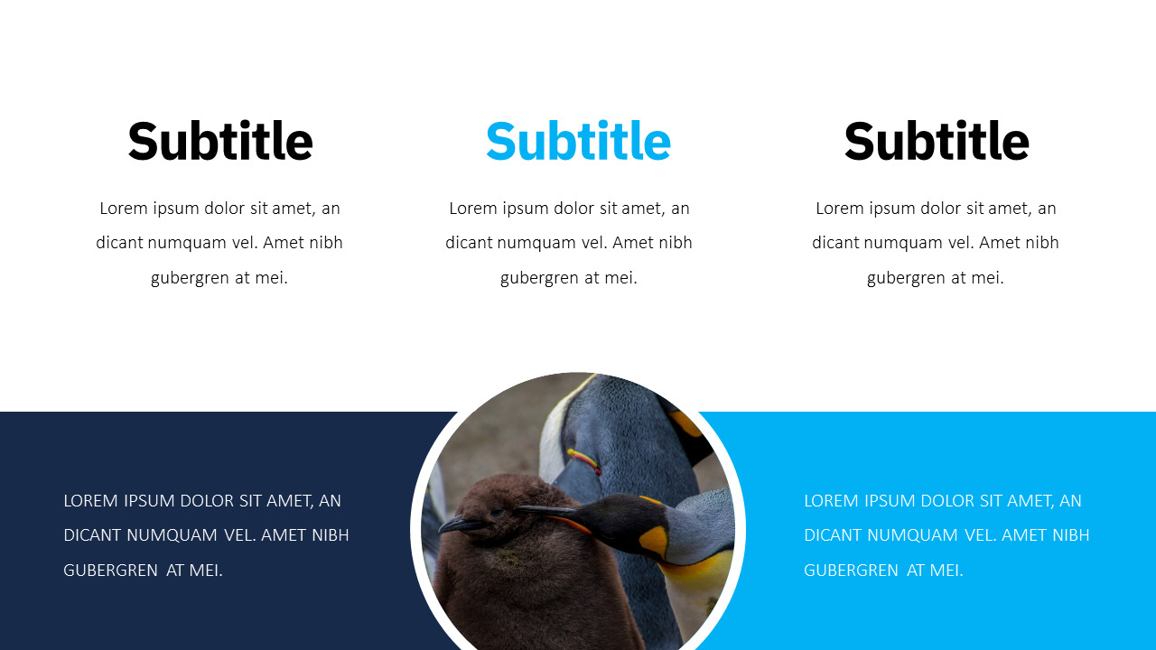 Penguin Google Slides mac|Animal