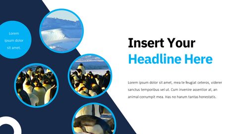 Penguin Google Slides mac|Animal