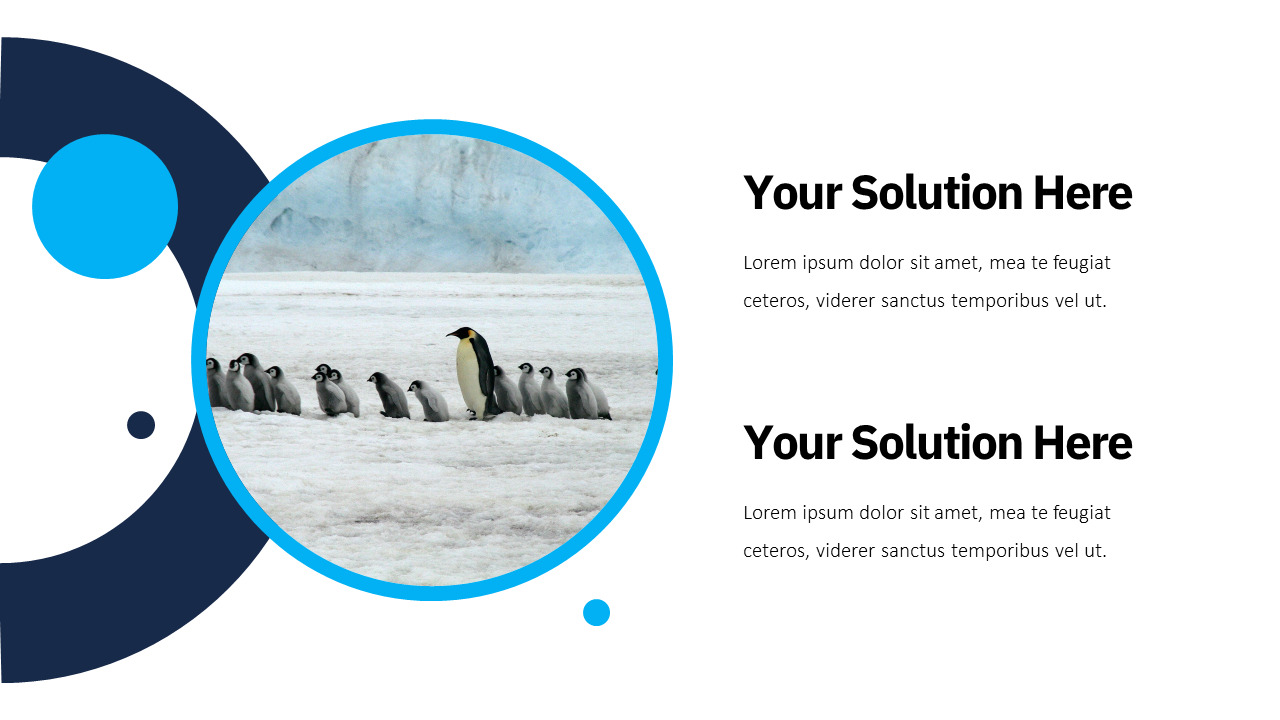 Penguin Google Slides mac|Animal
