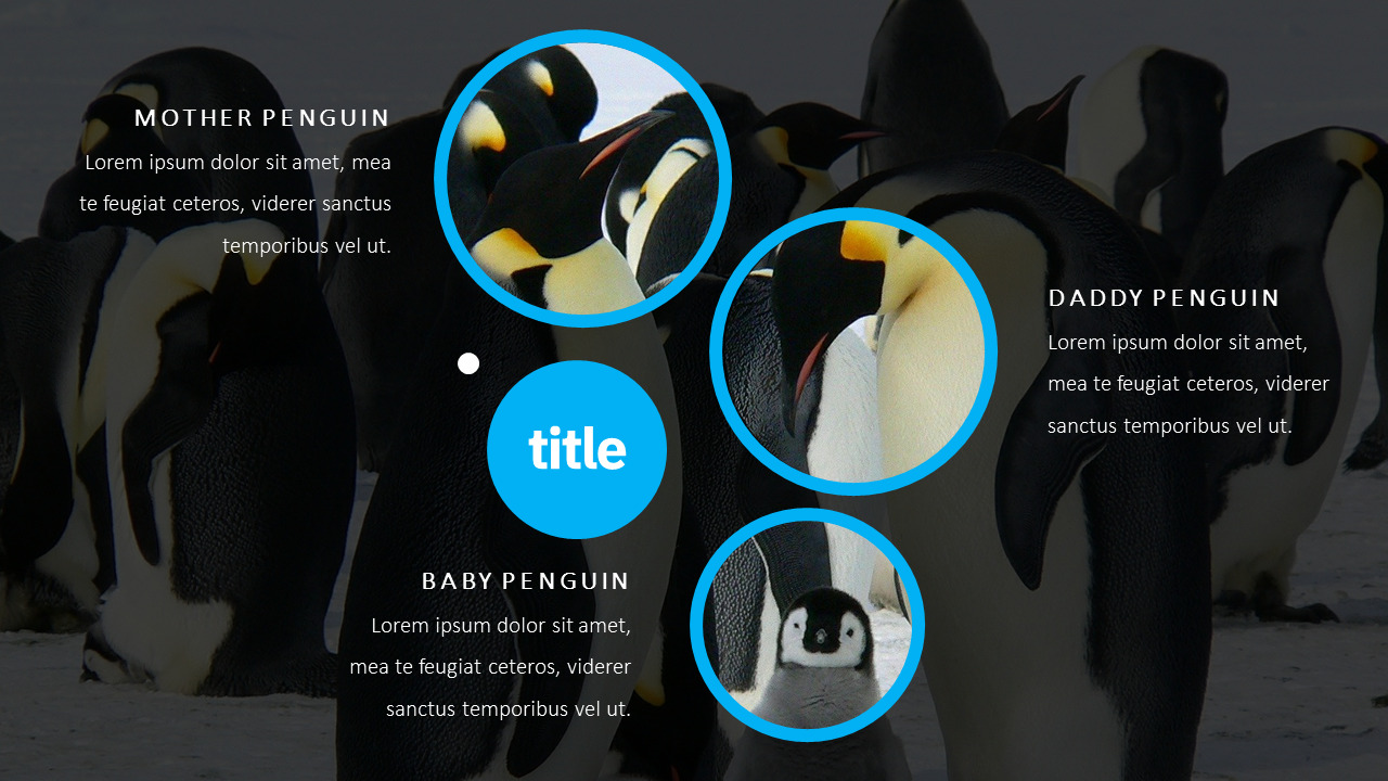 Penguin Google Slides mac|Animal